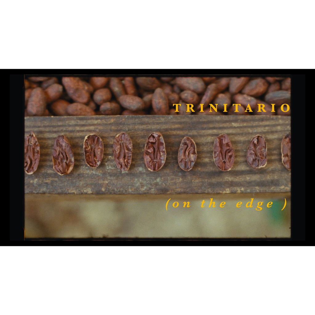 Storytelling to Revive Trinidad & Tobago’s Cocoa Sector – CocoaTown